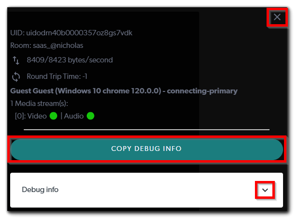 How to View the Connection Debug Information of Your Video Call